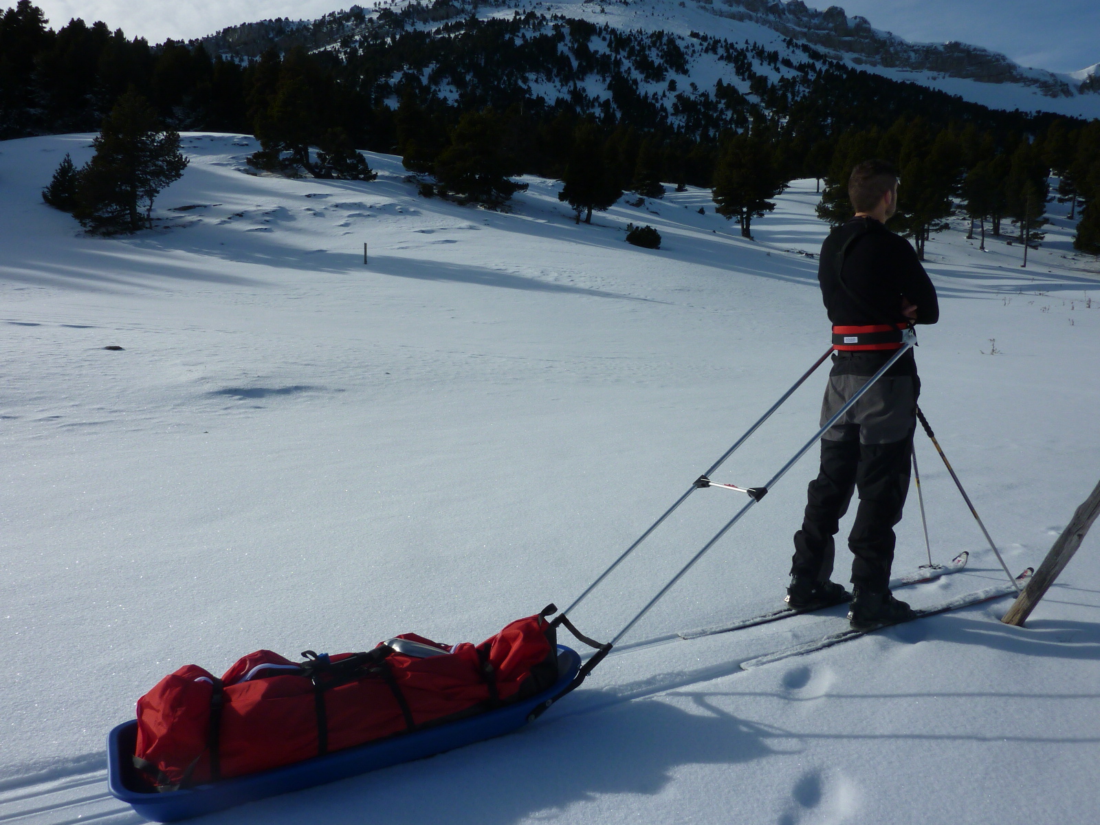 Où acheter ou louer une pulka cet hiver